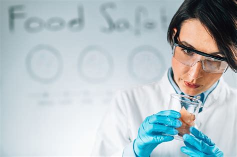 바다 물고기의 식품 품질 관리 시험관에서 바다 물고기 샘플의 감각 평가 검사 보기에 대한 스톡 사진 및 기타 이미지 검사 보기 해산물 고급 Istock