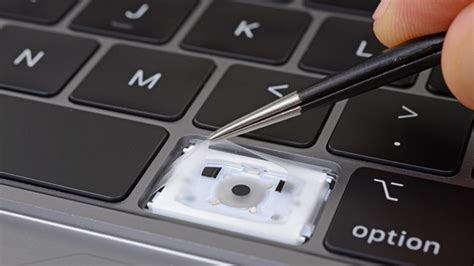 Apple Is Now Fixing MacBook Keyboards At Its Stores Thurrott Com