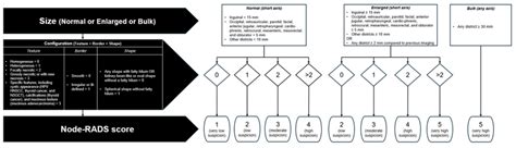 Node Reporting And Data System Node Rads Scoring Flowchart Modified