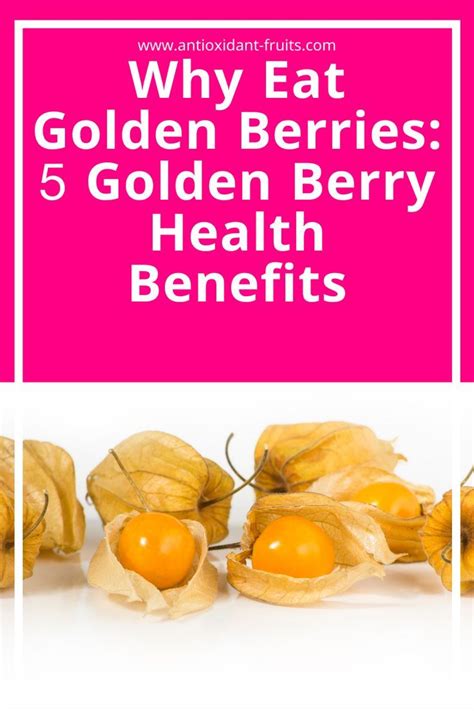 Why Eat Golden Berries 5 Golden Berry Health Benefits Benefits Of