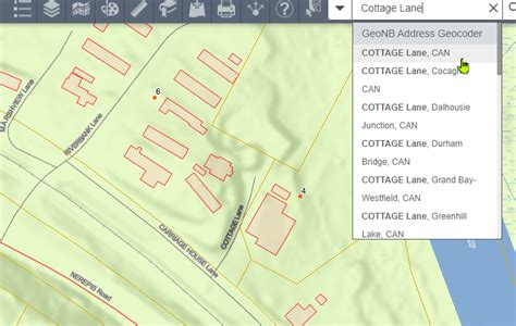 Geocoder Search Zooms To Incorrect Location But R Esri Community Geocoder Search Zooms To Incorrect Location But R Esri Community