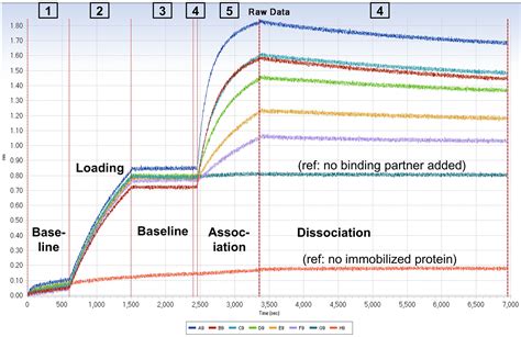Video Bio Layer Interferometry For Measuring Kinetics Of Protein Protein Interactions And