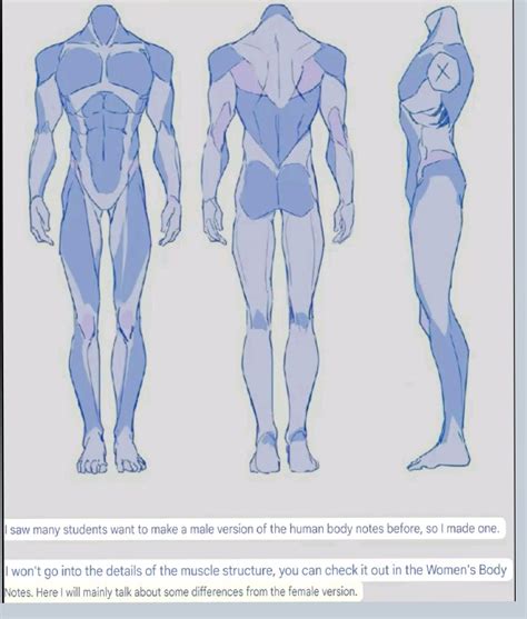 Anatomy Refs