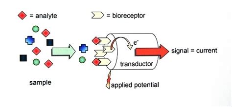 Chemosensors December 2015 Browse Articles