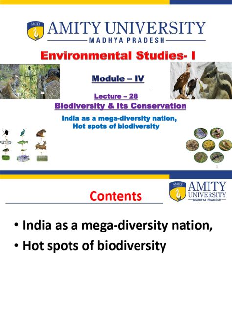 Lecture 28 Pdf Biodiversity Organisms