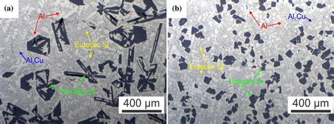 Microstructure Of Primary Si Particles In The Tp 1 Type Solidification