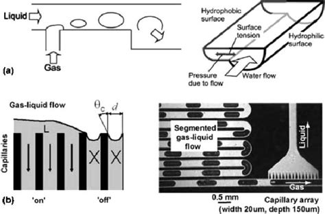 Separation Of Transient Liquid Liquid Microdroplet And Gasliquid Download High Resolution