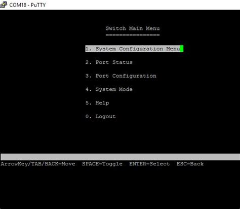 Access The CLI Via PuTTY Using A Console Connection On 300 And 500