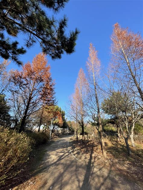 짱개 망했네 주식 에펨코리아