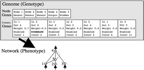 Neuroevolution — Evolving Artificial Neural Networks Topology From The