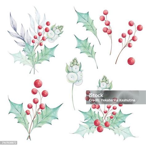 빈티지 스타일의 홀리 녹색 잎과 빨간 열매와 수채화 꽃다발의 크리스마스 세트 겨울 구성 복고풍 스타일의 장식 디자인 인쇄 인사말 카드를 위해 그린 그림 12월에 대한 스톡
