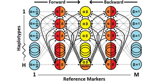 Step 3 First Posterior Probability Calculation Download Scientific