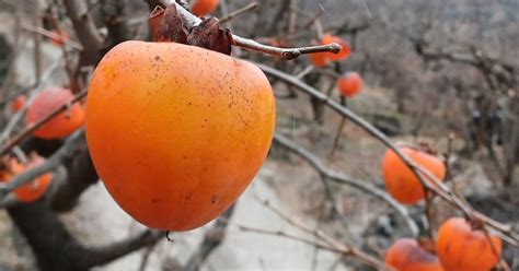 이순신도 여순 봉기군도 지나간 산골 마을