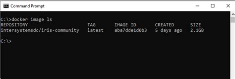 Introduction To Docker Intersystems Developer Community Dockeropen