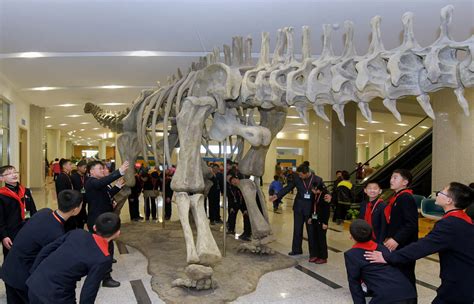 Sci Tech Complex Explore Dprk