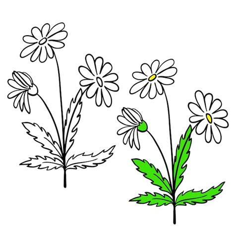 카모마일 컬러 및 블랙 라인 낙서 스케치 프리미엄 벡터