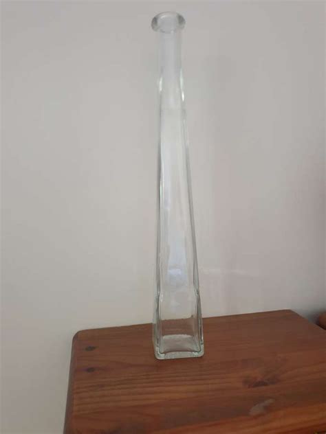 Freelywheely Tall Single Stem Glass Vase