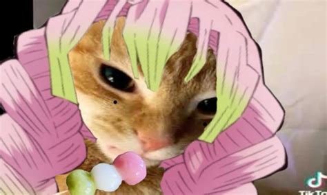 Mitsuri Cat In 2025 Cute Icons Anime Funny Anime Demon