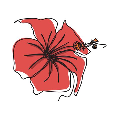 Vector Hibiscus Flower Drawing Of One Continuous Line Color