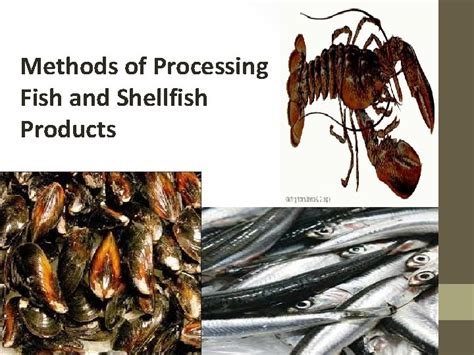 Fish And Shellfish Processing Two Kinds Of Fish