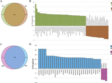 Effect Of Helicobacter Pylori Related Chronic Gastritis On Gastrointestinal Microorganisms And