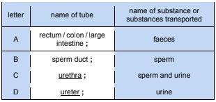 IGCSE Biology 0610 16 4 Sexual Reproduction In Humans IGCSE Style Questions Paper 3