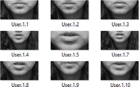 Figure 2 From Comparison Of Multiple Classifiers For Audio Visual Speaker Recognition System