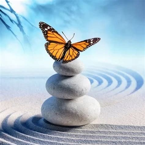 My Ramblings YouTube