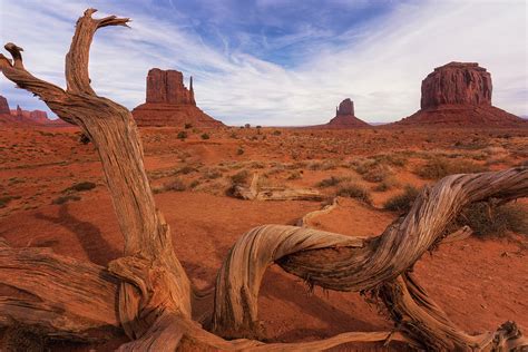 The Mittens Of Monument Valley Photograph By Martin Podt Pixels