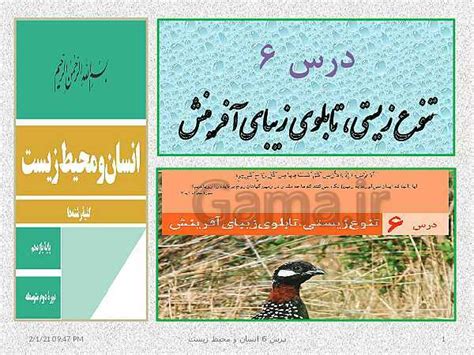 پاورپوینت نقشه مفهومی انسان و محیط زیست درس 6 تنوع زیستی، تابلوی زیبای آفرینش گاما