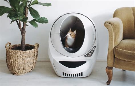 A Comprehensive Guide To Litter Robot 4 Cat Sensor Faults Kitozeen