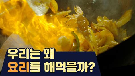 요리하는 능력은 인간의 탄생과 관련이 있을까 다큐프라임 Youtube