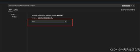 vscode：运行程序停止后，频繁出现终端进程被终止 powershell已停止工作怎么解决 csdn博客