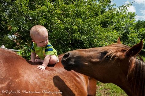 ISO Aperture Shutter Speed A Cheat Sheet For Beginners Aperture And Shutter Speed