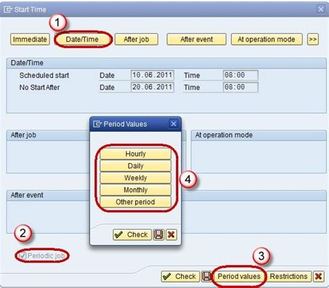 SAP BI Process Chain Create Check Activate Assign Monitor