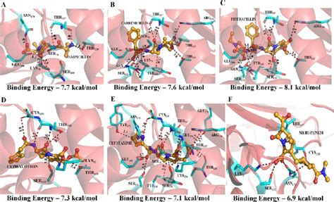 Molecular Docking Analysis Of Ftu 1 With Different Substrates And Download Scientific Diagram