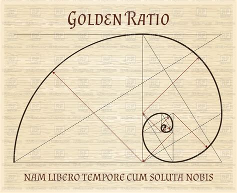 Fibonacci Vector At Getdrawings Free Download