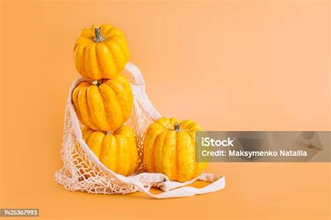호박의 구성 행복한 추수 감사절야채 가을 음식 개념 가을 할로윈 호박오렌지 배경에 직물의 메쉬 가방에 호박의 다른 종류 가을 개념 공간을 복사합니다 0명에 대한 스톡 사진