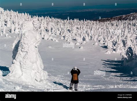 Hikers Exploring The Frozen Snow Monsters At Zao Yamagata Japan Stock