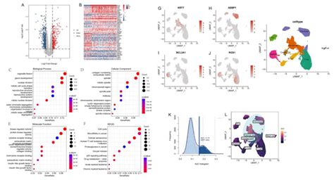 Identification Of NAC Related Differentially Expressed Genes And Download Scientific Diagram