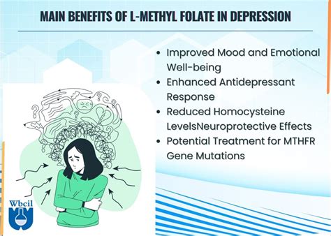 Main Benefits Of L Methyl Folate In Depression