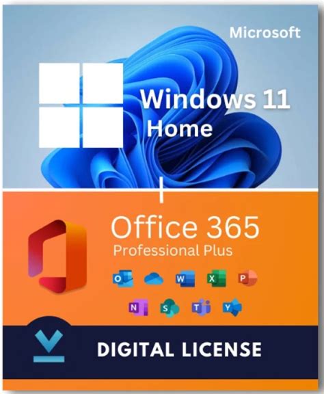 Microsoft Windows 11 Pro Office 365 Pro Plus Pttavm