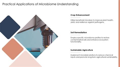 Top 10 Comparitive Analysis Powerpoint Presentation Templates In 2024