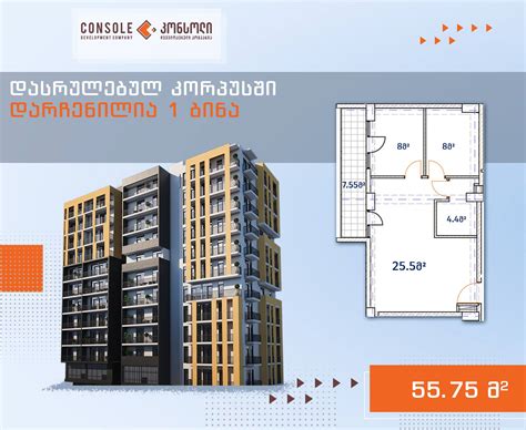 🏢 კონსოლის დასრულებულ კორპუსში კონსოლი • Console