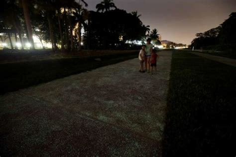 Luminous Path In Singapore Will Light Up Your Life Pics