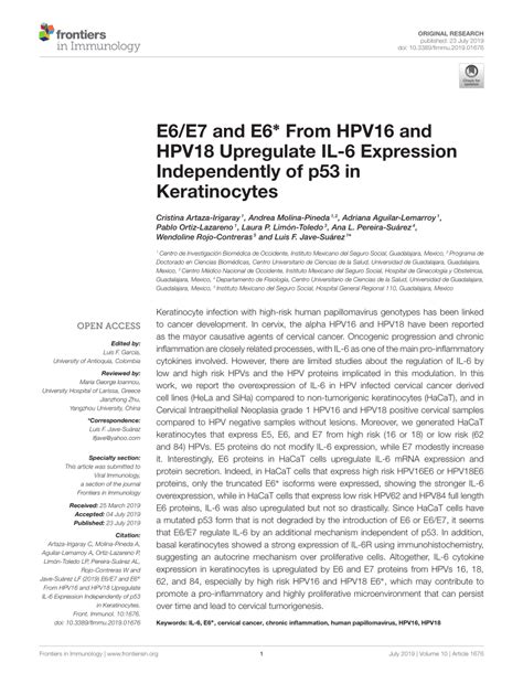 Pdf E6 E7 And E6 From Hpv16 And Hpv18 Upregulate Il 6 Expression