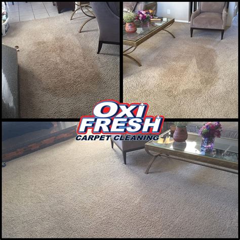 Oxi Get Your Carpets Clean Before The Holidays Book Online Now