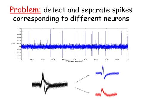 Spike Sorting Tutorial Ppt