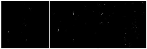 Remote Sensing Free Full Text Object Enhanced Yolo Networks For Synthetic Aperture Radar