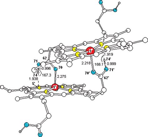 The Structure Of The Dimer Heme 2 Ion M 6 Download Scientific Diagram